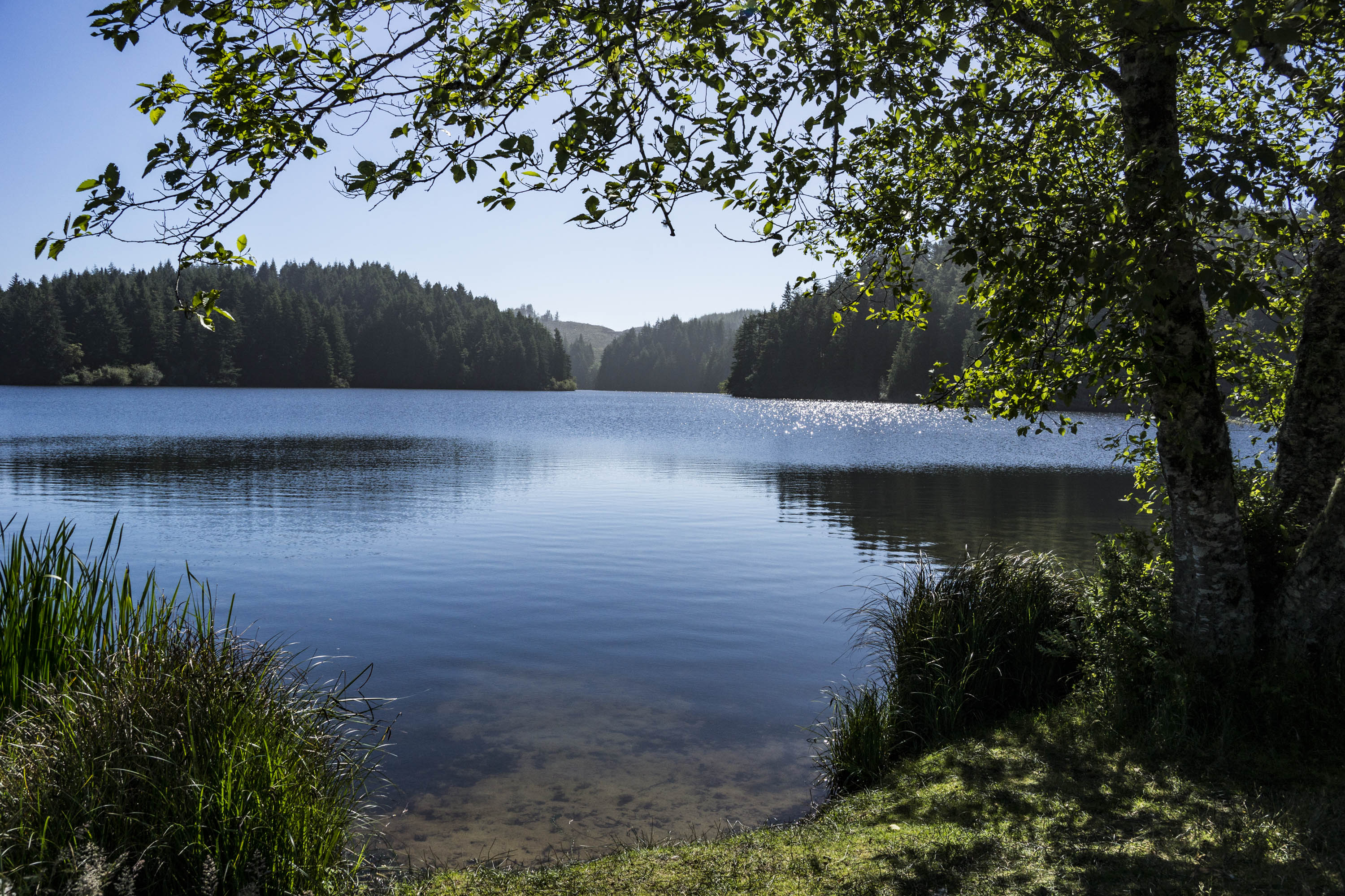 Eel Lake Hike – Coos Trails